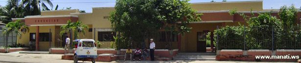 Manatí Atlántico, Salud